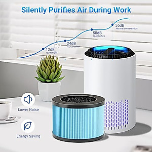 MK01 & MK06 True HEPA Filter Replacement for MK01 MK06, TZ-K1 and DH-JH01 Air Purifier, Standard Version, Blue, 2 Pack