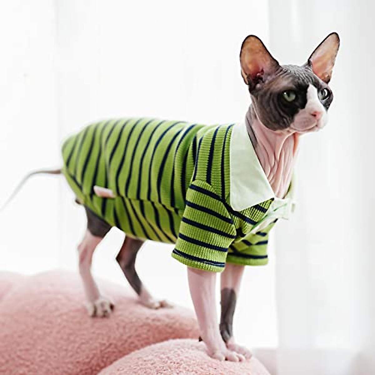 Sphynx Hairless Cat Clothes Autumn Waffle Stripe Lapel Polo Shirts Breathable Thicken Cotton T-Shirts with Sleeve Kitten Shirts Pet Clothes (M (6-7.7lbs), Black Green Polo)