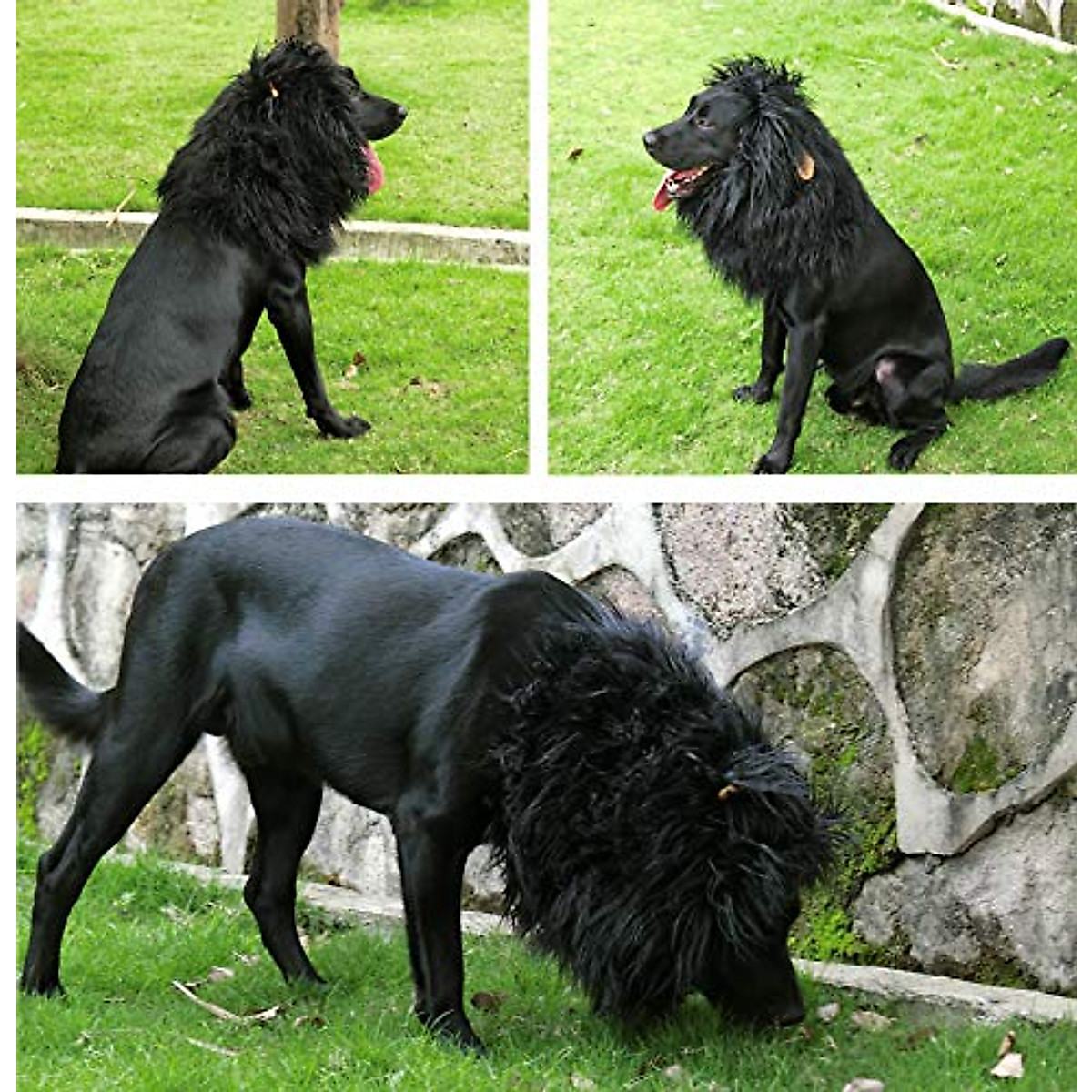 Onmygogo Lion Mane Wig for Dogs with Ears, Funny Pet Costumes for Halloween Christmas (Size L, Black)