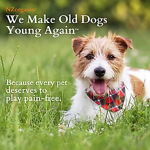 NZorganix FlexxiJoints Hip and Joint Supplement Chews for Dogs, Cats • 100% Grass-Fed Beef Bone Collagen New Zealand Green-Lipped Mussels • 50 Chews