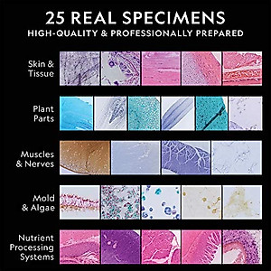 NATIONAL GEOGRAPHIC Mega Biology Set -8 years and up, Professional Grade Specimens, 25 Prepared Microscope Slides, Detailed Learning Guide and Storage Box,