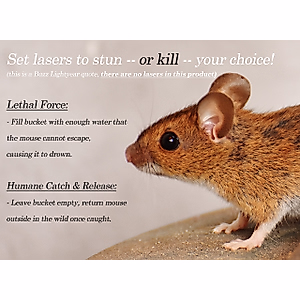 Rat Trap - Humane No Kill No Touch Live Rodent Trap that Works - Safe for Children and Pets - Indoor or Outdoor Use