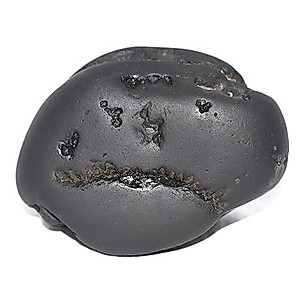 Rudrakshguru Laxmi Narasimha Shaligram - Gandaki River Nepal