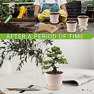 DORAKCI Bonsai Tree Kit - Gardening Gift for Men & Women - Bonsai Tree Growing Garden Crafts Hobby Kits for Adults - Room Decor - Bonsai Tree for Beginners - Crafts for Adults