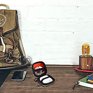 Fintie Case Cover for AirPods 3 (2021), Hard EVA Shockproof Portable Full Protective Cover Carrying Bag Compatibe with AirPods 1/AirPods 2/ AirPods 3 Charging Case Accessories, Love Tree