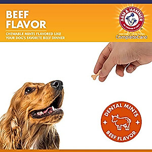 Arm & Hammer for Pets Complete Care Dog Dental Mints in Resealable Bag, Beef Flavor Baking Soda Enhanced Dog Dental Care Mints for Fresh Breath, 40 Mints