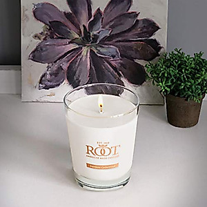 Root Candles Scented Candles Honeycomb Veriglass Premium Handcrafted Beeswax Blend Candle, Large, Japanese Cedarwood