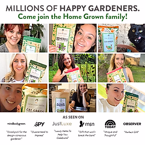 HOME GROWN 1 Pound Cat Grass Seeds for Indoor Cats & Pets - Ready to Eat in 7 Days - Quick & Easy to Grow | Cat Grass for Digestion & Hairballs | 100% Non-GMO Heirloom Oat Barley Seeds