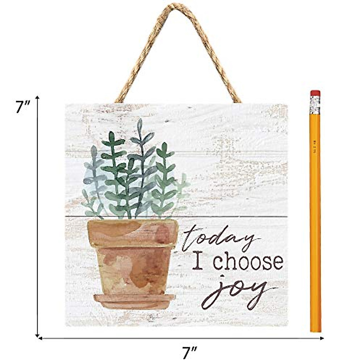 P. Graham Dunn Whitewash 7 x 7 Inch Wood Pallet Wall Hanging Sign, Today I Choose Joy Plant