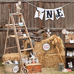 VAVAYAO First Rodeo High Chair Banner - Western Themed Birthday, First Rodeo, Baby 1st Birthday Party Decorations, Farm Themed Party Decorations, Bull Skull, Cactus, Wild West, 1st Birthday
