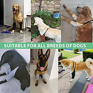 Dog Recovery Suit Front Legs,Dog Recovery Sleeve,Dog Recovery Sleeve After Surgery for Female Male,Soft Dog Joint Leg Sleeves After Surgery,Dog Cone Alternative to Stop Licking Leg Wounds,Green,2XL