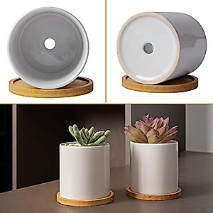 EFISPSS Succulent Plant Pots, 3.2 inch Ceramic Flower Pot with Bamboo Tray, Small Cactus Planter Pots with Drainage Holes, 8 Pack (Plants NOT Included) (White)