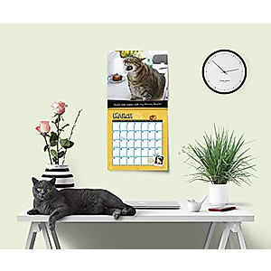 2021 Fat Cats Wall Calendar: A Monthly Calendar Full of Funny Felines and Hilarious Captions (The Perfect Funny Gift for Christmas and Cat Lovers)