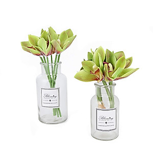 Blooming Paradise 12pcs Real Touch Artificial Fake Plants Silk Cymbidium Orchid Flowers Arrangements Wedding Bouquets Decorations Plastic Floral Table Centerpieces Home Kitchen Garden Party White