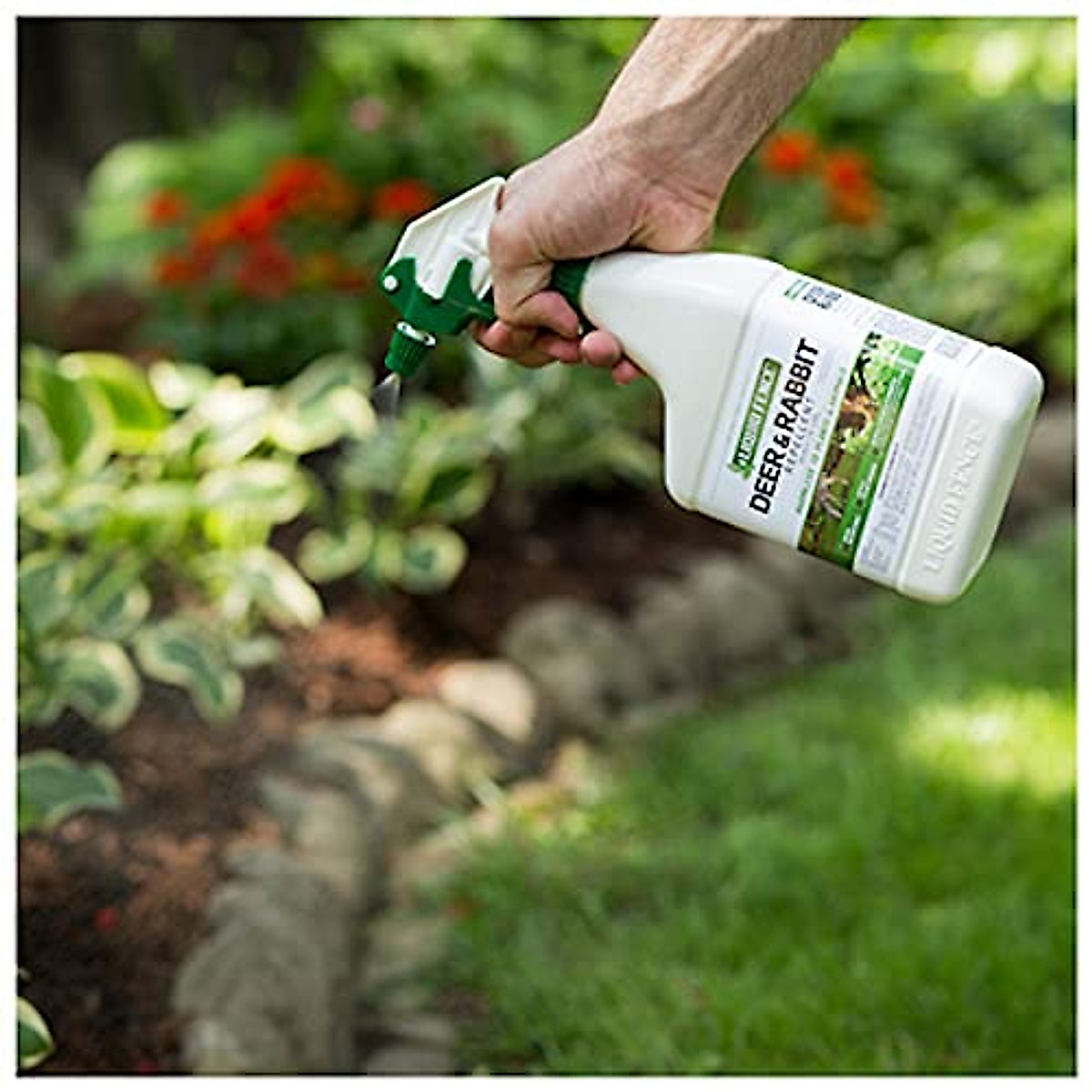 Liquid Fence 112 1 Quart Ready-to-Use Deer & Rabbit Repellent (Pack of 2)