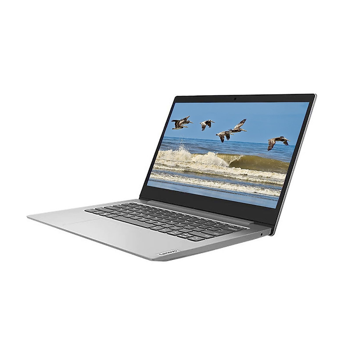 Lenovo IdeaPad 1, 14" Notebook, Full HD(1920 x 1080), AMD Athlon Silver 3050e Dual-core (2 Core) 1.40 GHz, 4 GB RAM, 128 GB SSD, Windows 11 Home, HDMI, Platinum Gray, EAT 64GB SD Card