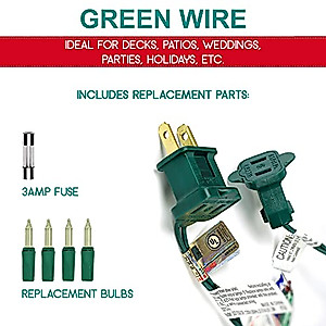 100 Christmas Mini Lights - 24.8 ft / 7.5m - 120V - Warm White Bulbs 2800K - Green Wire - 120V - End to End Connection - Indoor & Outdoor Use - Light Strings for Christmas Tree and New Year Decoration