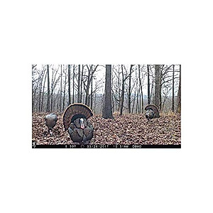 Browning Trail Cameras Dark Ops Extreme Camera, 720p