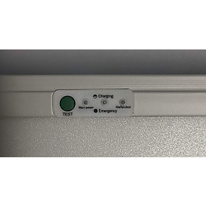 2- PAK 2x4 Panel with Emergency Battery 4000K