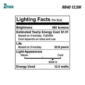 EcoSmart 75-Watt Equivalent BR40 Dimmable Energy Star LED Light Bulb Daylight (2-Pack)