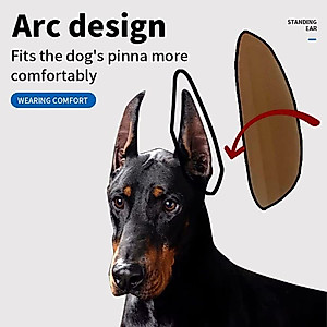 Andy's Orchids Dog Ear Stand Up Support Tool Sticker, Dog Ear Fixed Correction Vertical Holder for Doberman Pinscher Sheltie Corgi Puppies 2.7 * 1.38 inch