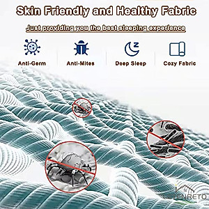LZTENRETO Firm Coir Mattress, 3E Coconut Coir Mattress Pad, Quiet Coconut Palm Mattress, Thick Coir Mattress Pad in 6cm,9cm,11cm, Foldable (White-B,Queen 9cm)