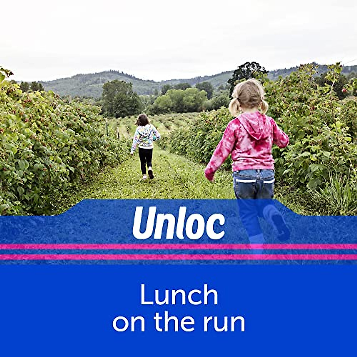 Ziploc XL Sandwich and Snack Bags with EasyGuide Texture, Plastic Storage Bags with Grip 'n Seal Technology, 90 Bags Total