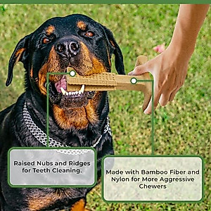 SPOT Bam-Bones Plus T Bone - Bamboo Fiber & Nylon, Durable Long Lasting Dog Chew for Aggressive Chewers – Great Toy for Adult Dogs & Teething Puppies Under 90lbs, Non-Splintering, 7in Chicken Flavor