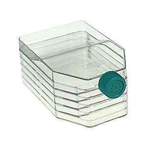 Nest Scientific 731002 5-Layer Polystyrene Cell Culture Flask, Vent Cap, Straight Neck, Tissue Culture Treated, Sterile, Clear, 1 per Pack, 8 per Case (Pack of 8)