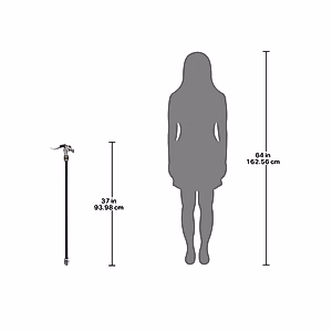 Design Toscano Dragonsthorne Nebula Dragon Gothic Walking Stick Swagger Cane, 38 Inch, Black and Silver