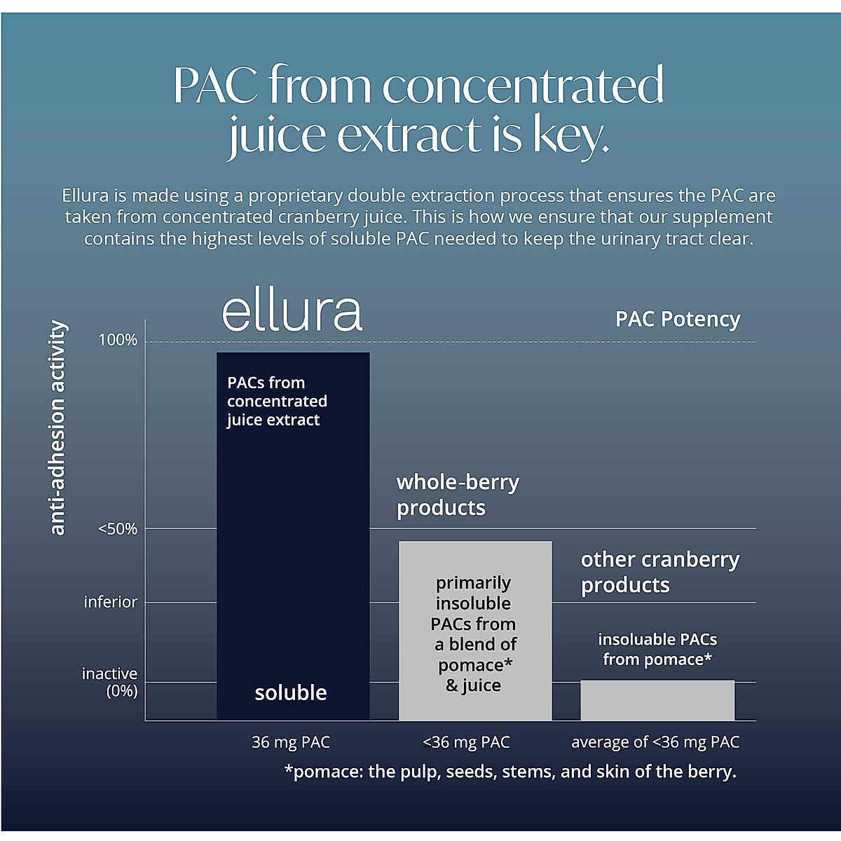 Solv Wellness Ellura Clinically Proven Cranberry Supplement: Get Ahead of UTIs with 36mg of 100% Bioavailable PAC, 30 Capsules