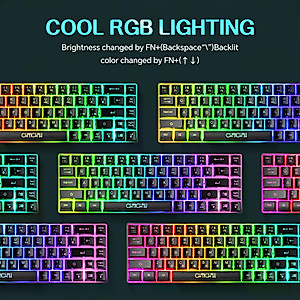 60% Gaming LED Keyboard RGB 68 Keys Layout Wired Keypad with 10 Preset Effects Mechanical Switch Feel Compatible with PC Mac Linux Xbox one PS4 PS5