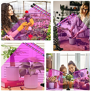 SDOVUERC Grow Lights for Indoor Plants, Full Spectrum LED Plant Lamps with Clips and 3m Cables for Seeding Growing(2 Pack)