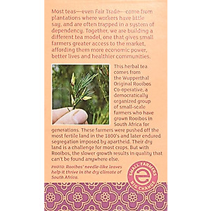 Equal Exchange Organic Vanilla Rooibos Tea, 20-Count (Pack of 3)