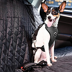 Nasus Dog Car Harness Plus Connector Strap, Adjustable Double Breathable Mesh Fabric Travel Regular Vest Harness with Safety Seat Belt in Cars Vehicle for Dogs Road Trip Daily Walks (Small, Black)