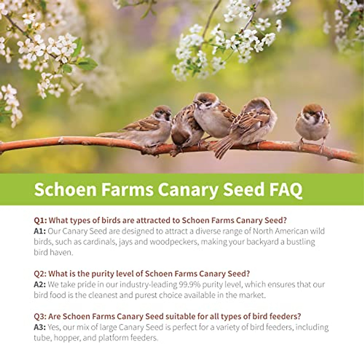 Schoen Farms Premium Canary Seed for Birds (5 LBS)