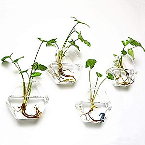 Kingbuy Wall Hanging Glass Planter Propagation Terrarium Hexagon Shape Flower Vase for Home Office Decor, Plant Lover Gifts, 3 Pack, Medium