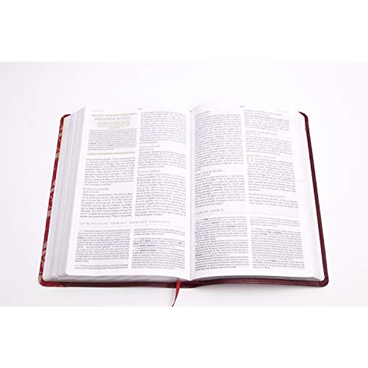 Biblia Reina Valera 1960 de Estudio para mujeres vino tinto-fucsia, símil piel | RVR 1960 Women Study Bible, Burgundy-Fuschia LeatherTouch (Spanish Edition)