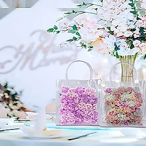 Inn Diary 30pcs Plastic Clear Gifts Bags with Handle Transparent PVC Gift Wrap Bag for Favors Christmas Bags,Reusable Shopping Bags Party Bags