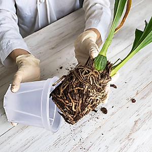 20Pack 4/5/6/7 inch Clear Nursery Pots with 20 Drip Trays 50Pcs Plant Labels, Plastic Reinforced Gardening Pots with Drainage Holes, Assorted Nursery Pots for Plants Succulent Vegetable Flowers