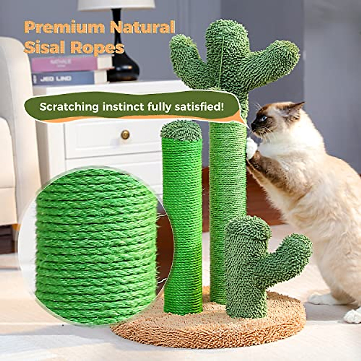 PAWZ Road Cat Scratching Post Cactus Cat Scratcher Featuring with 3 Scratching Poles and Interactive Dangling Ball -Medium 23 Inches