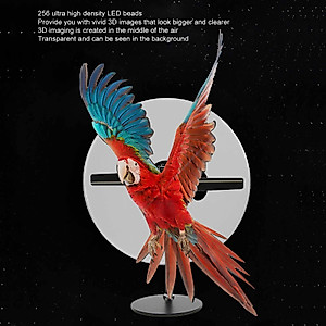 Holographic Advertising Display Fan 3D Fan Holographic Fan Display Air Fan Video Projector 256 Tabletop 176 LED Beads Led Fan 3D Hologram Projector for Shopping Mall Store Shop Bar (US Plug)