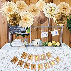 Brown Party Decorations Cream Tan Brown Rustic Natural Birthday Decorations Paper Fans Tissue Paper Pom Poms Rustic Wedding Baby Shower Birthday Party Decoration