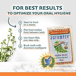 Auromere Ayurvedic Neem Toothpicks - Vegan, Natural, Non GMO, Made from Birchwood (100 Count) (1 Pack)
