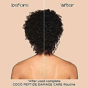 Pacifica Coco Peptide Damage Care Shampoo & Conditioner Set – Repairing Hair Care for Dry Damaged Hair Vegan Collagen & Peptides for Split Ends & Breakage Sulfate Free Clean Vegan Dermatologist Tested
