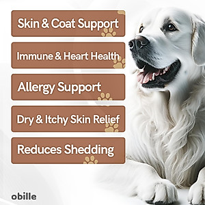 Obille Skin & Coat Omega for Dogs 160 Chews 12oz – Salmon Oil Supplement For Puppies and Large Dogs, Support Shiny Coat, Dry & Itchy Skin Relief, Immune & Heart Health and may reduce Allergy, Shedding
