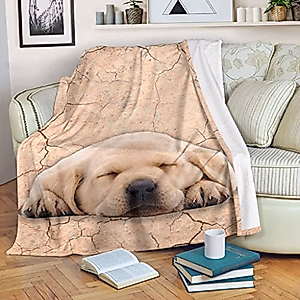 SATIGI Cute Face Labrador Fleece Blanket Cute Labrador Blanket Dog Print Fleece Blanket Fluffy Throw Blanket for Adults, Women,Baby,Kids for Sofa Bed Holiday Birthday Thanksgiving Gifts