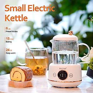 BEESTAR Small Electric Kettle with Automatic Heat Preservation,Glass Portable Kettle Temperature Control,6 Preset Programs,High Borosilicate Glass,0.6 Liter Capacity for Your Office or Kitchen