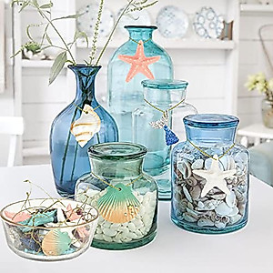 LOMIMOS 36PCS Christmas Ocean Themed Ornament,Colorful Summer Resin Pencil Finger with Rope,Assorted Beach Seashell Starfish Seahorse Nautical Hanging Decor for Wedding Birthday Party Craft