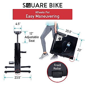 Compact Exercise Bike with 8 Levels of Magnetic Resistance - Stationary Bike For Home & Under Desk Exercise by Daiwa Felicity (Black)